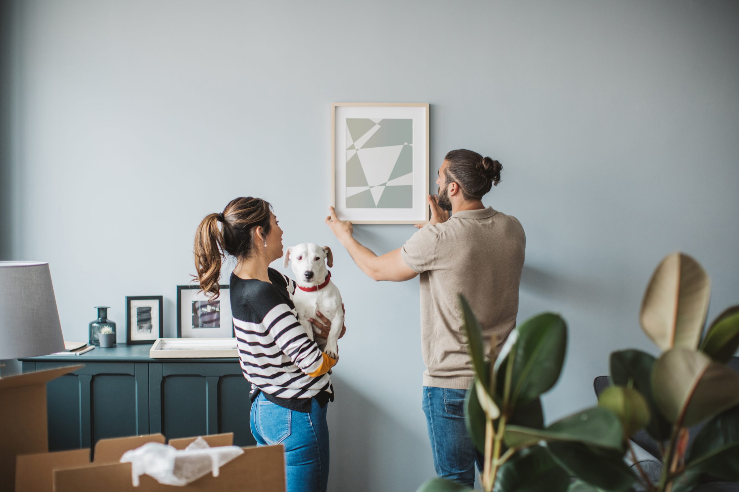 Blu-tack facts - Adjudication case study for landlords | Mydjersey